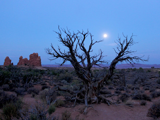 Full Moon Blog: The Next Full Moon is the Sturgeon Moon, Hay Moon, Mead ...